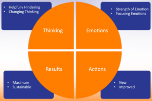 The T.E.A.R. Cycle - Executive Support Magazine